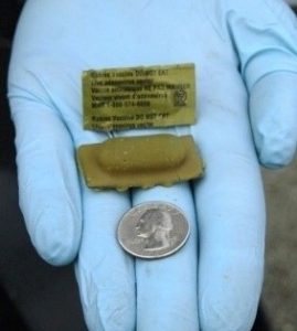 Rabies Vaccine Bait Drop Program Scheduled to Begin August 15th - SNI